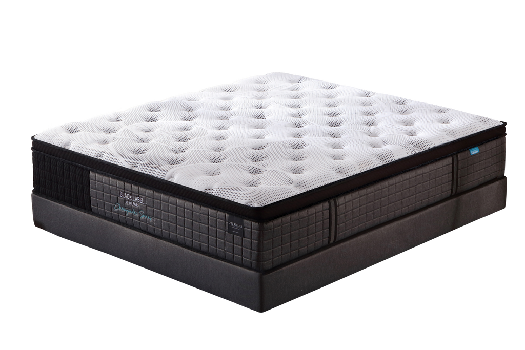 Mattress - Chiropractic Black Label – Zzz Atelier